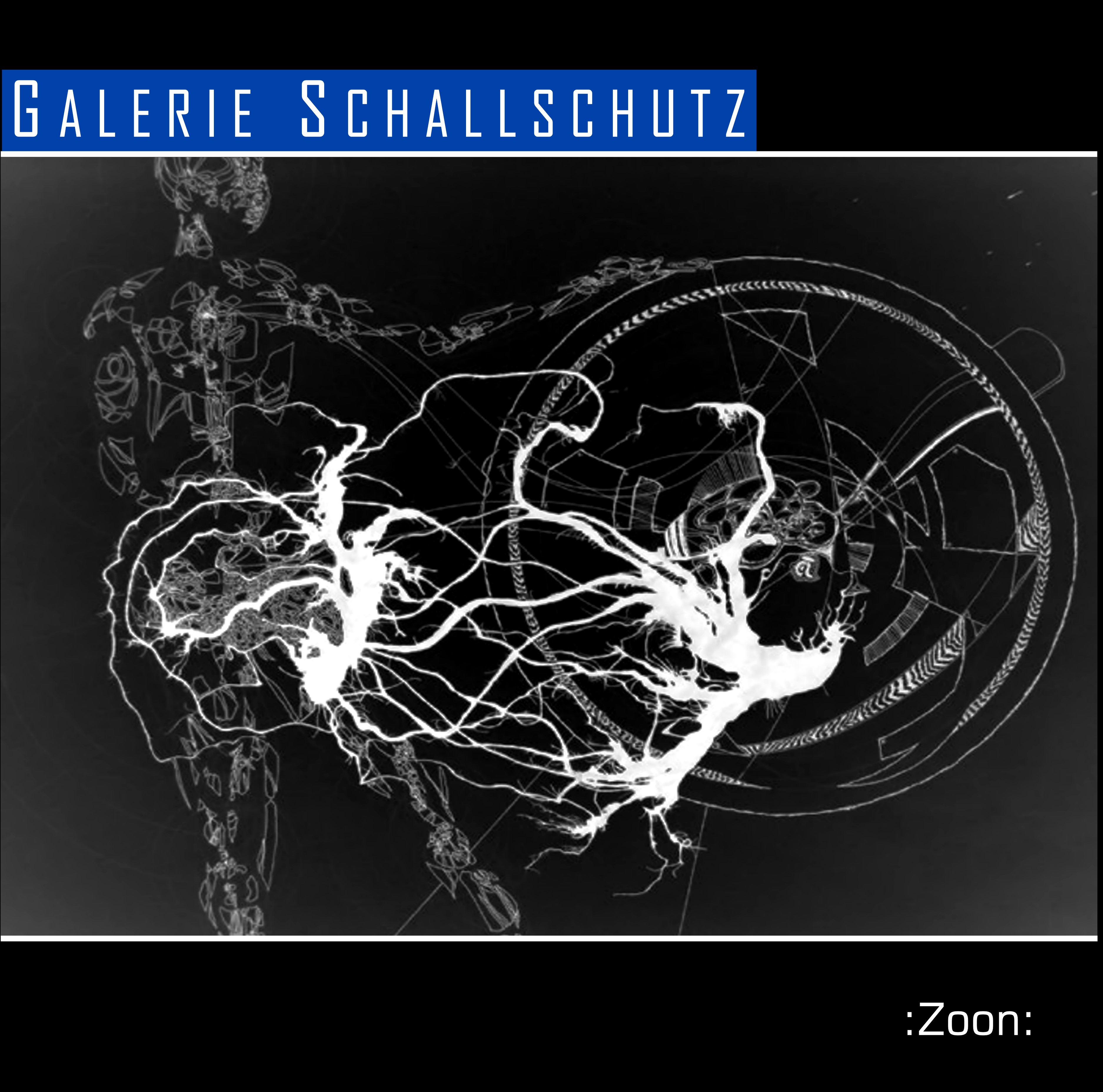 Zoon Logon Echon Set Review – The Humble Rock Dove